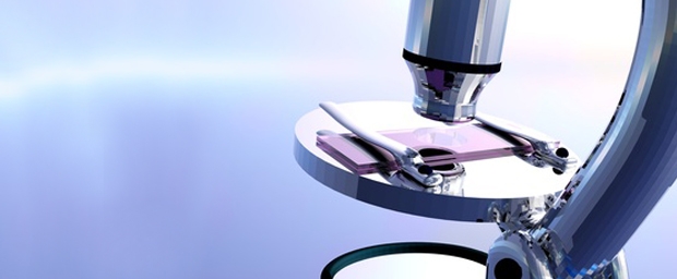 Das Basaliom - ein häufiger Tumor am Auge / Augenlid